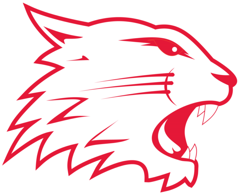 Sheffield Steeldogs – Sheffield Steeldogs