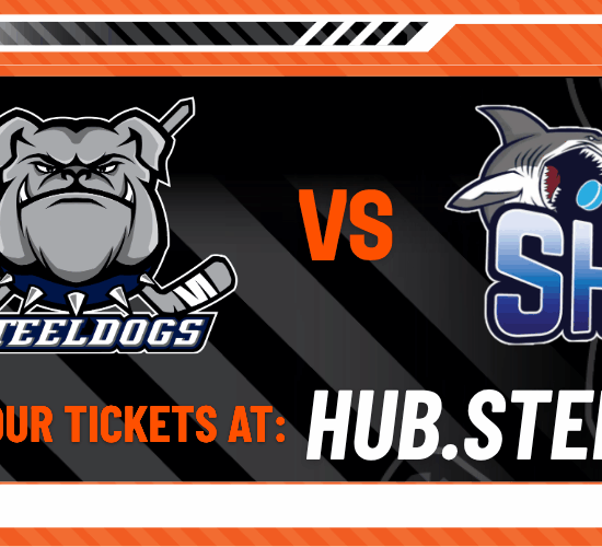 Sheffield Steeldogs – Sheffield Steeldogs